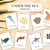 18 Under the Sea Flashcards Ocean Printable Back to School Animal ...