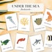 18 Under the Sea Flashcards Ocean Printable Back to School - Etsy