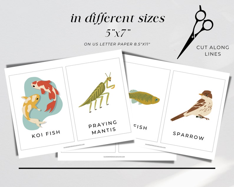 Printable Forest Animal Flashcards, Pond Spring Nature Unit Study ...