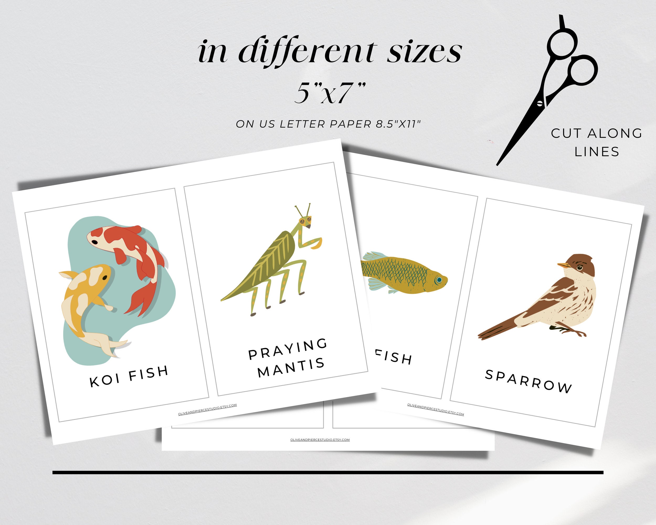 Printable Forest Animal Flashcards, Pond Spring Nature Unit Study ...