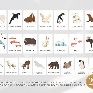 Printable Polar Arctic Animal Flashcards Nature Unit Study Montessori ...