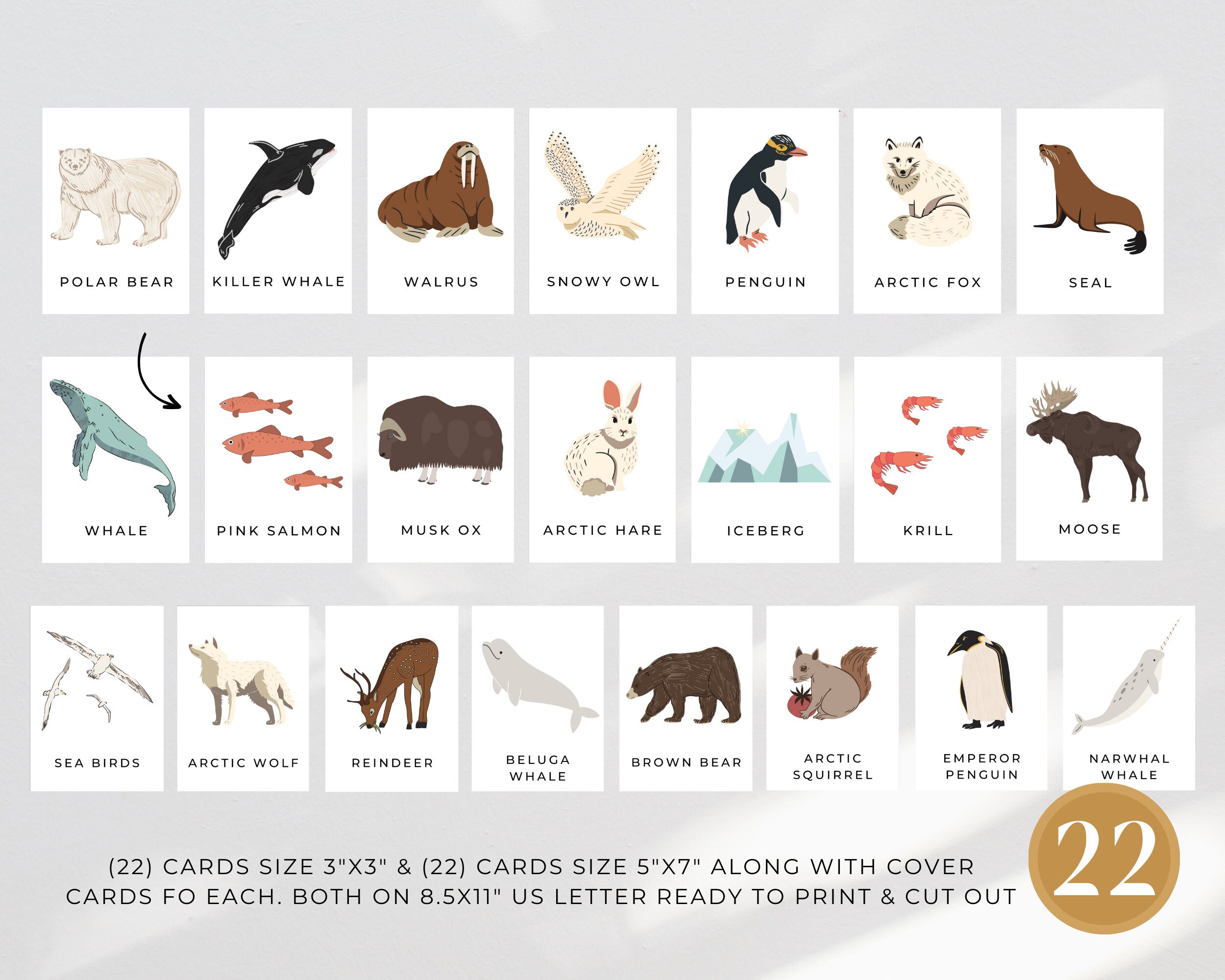 Printable Polar Arctic Animal Flashcards Nature Unit Study Montessori ...