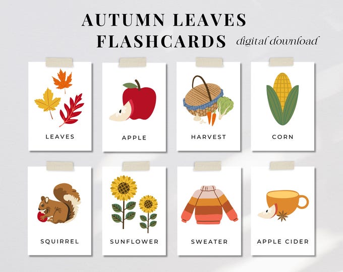 Autumn Flashcard,fall Vocabulary,nature Cards,autumn Montessori,autumn ...