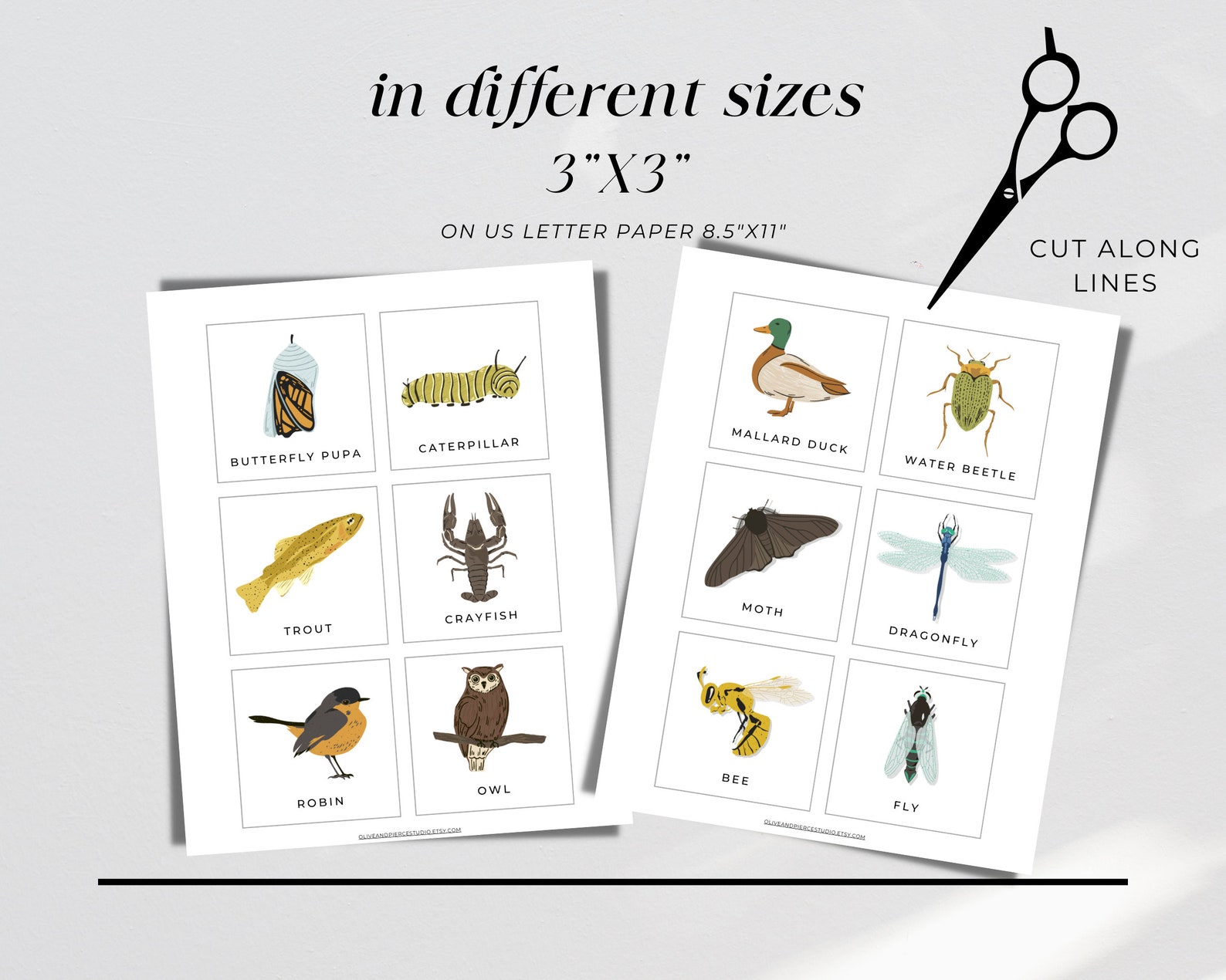 Printable Forest Animal Flashcards, Pond Spring Nature Unit Study ...