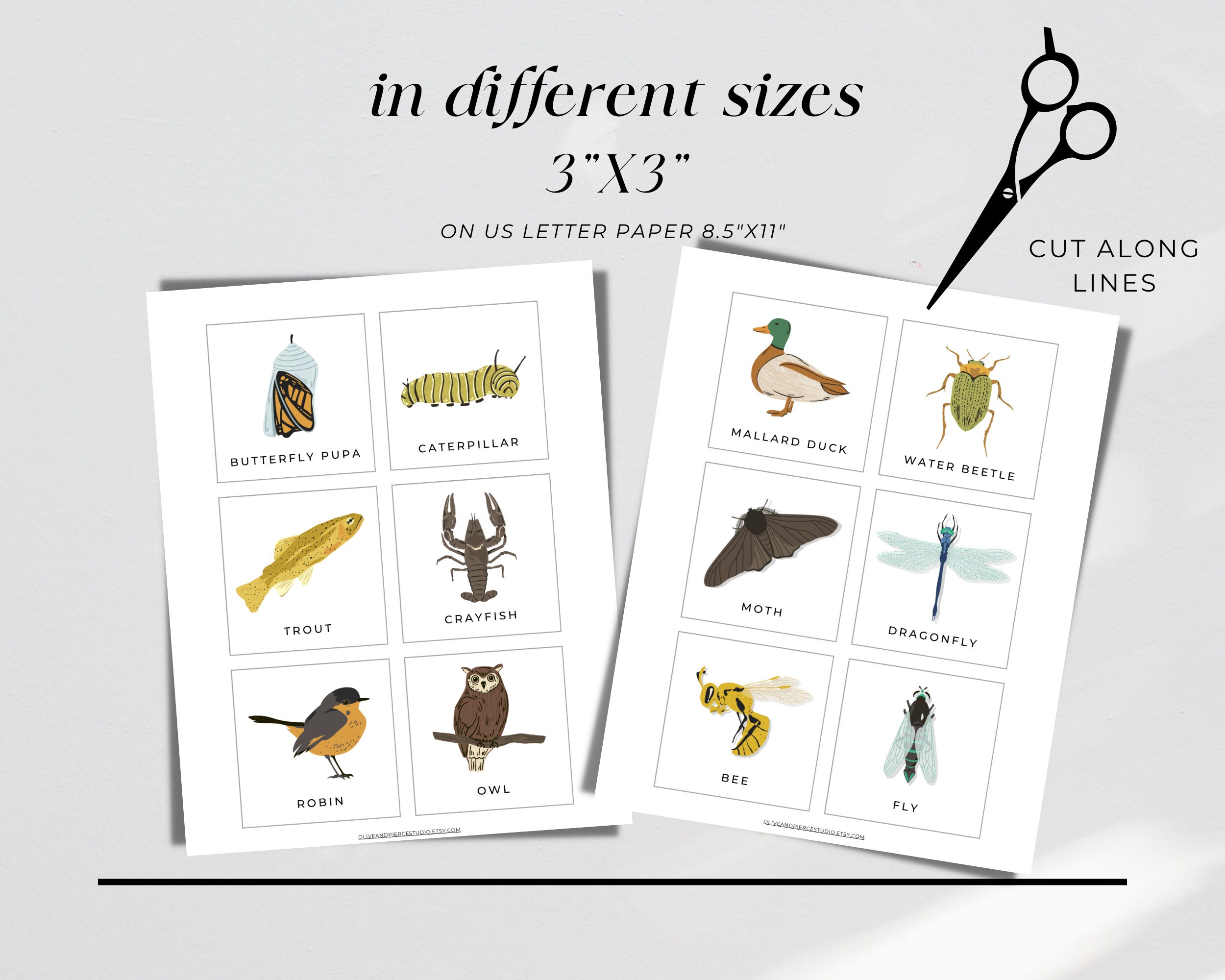 Printable Forest Animal Flashcards, Pond Spring Nature Unit Study ...
