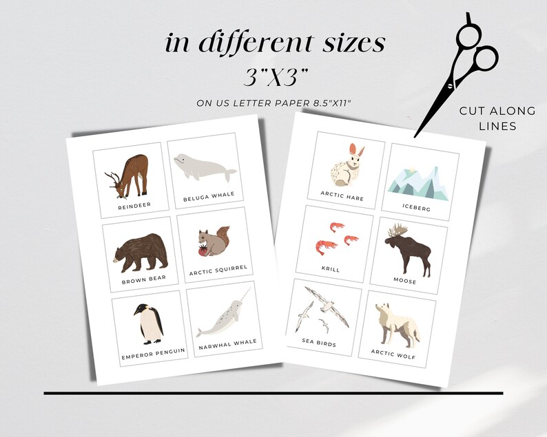 Printable Polar Arctic Animal Flashcards Nature Unit Study Montessori ...