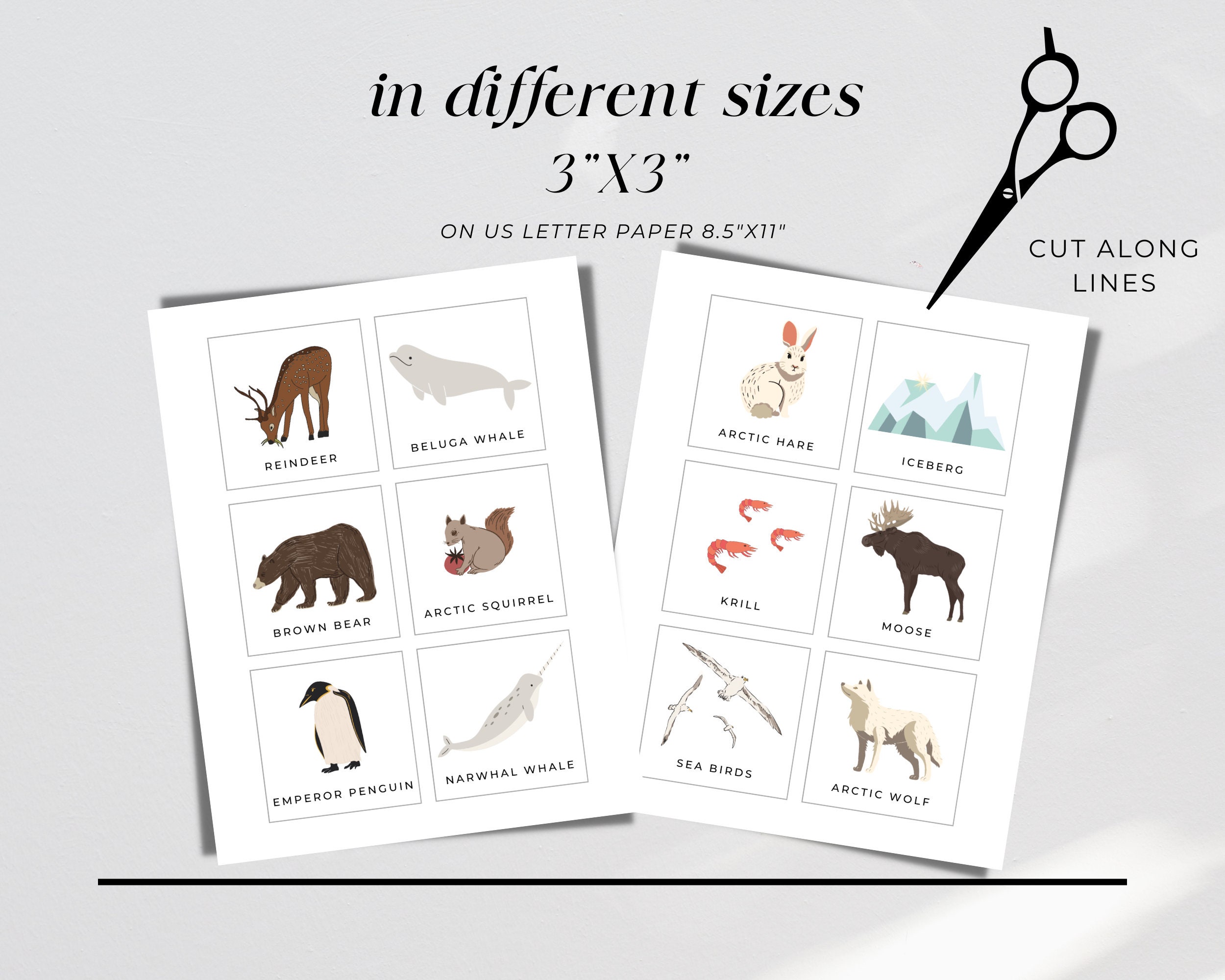 Printable Polar Arctic Animal Flashcards Nature Unit Study Montessori ...