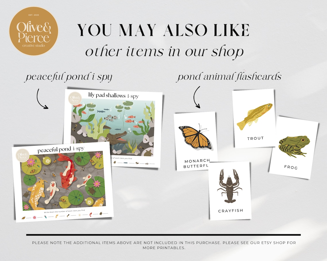 I-spy Printable Jungle Animal Activity, Rainforest Nature Unit Study ...