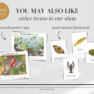 I-spy Printable Jungle Animal Activity, Rainforest Nature Unit Study ...