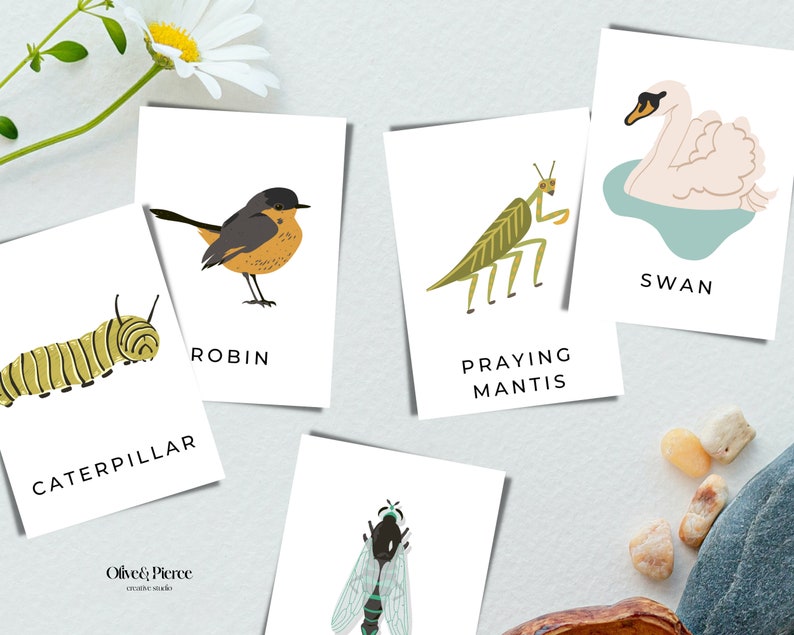Printable Forest Animal Flashcards, Pond Spring Nature Unit Study ...