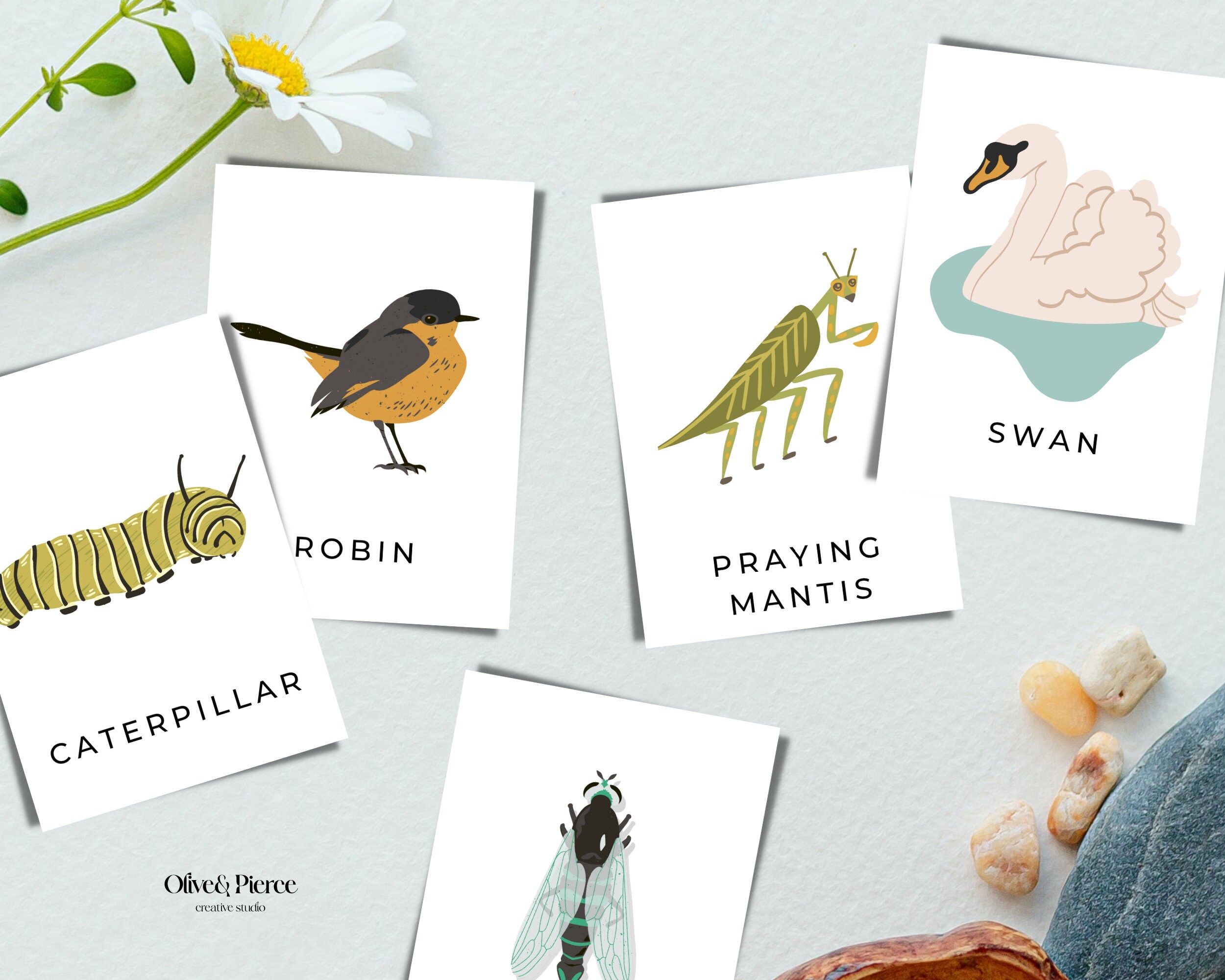 Printable Forest Animal Flashcards, Pond Spring Nature Unit Study ...