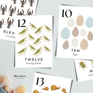 Printable Nature Number Cards, Spring Forest Unit Study, Montessori ...