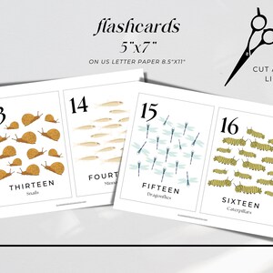 Printable Nature Number Cards, Spring Forest Unit Study, Montessori ...