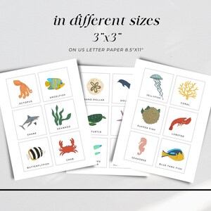 18 Under the Sea Flashcards Ocean Printable Back to School - Etsy