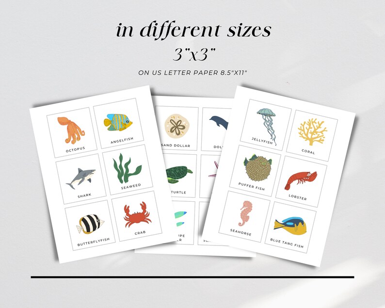 18 Under the Sea Flashcards Ocean Printable Back to School - Etsy