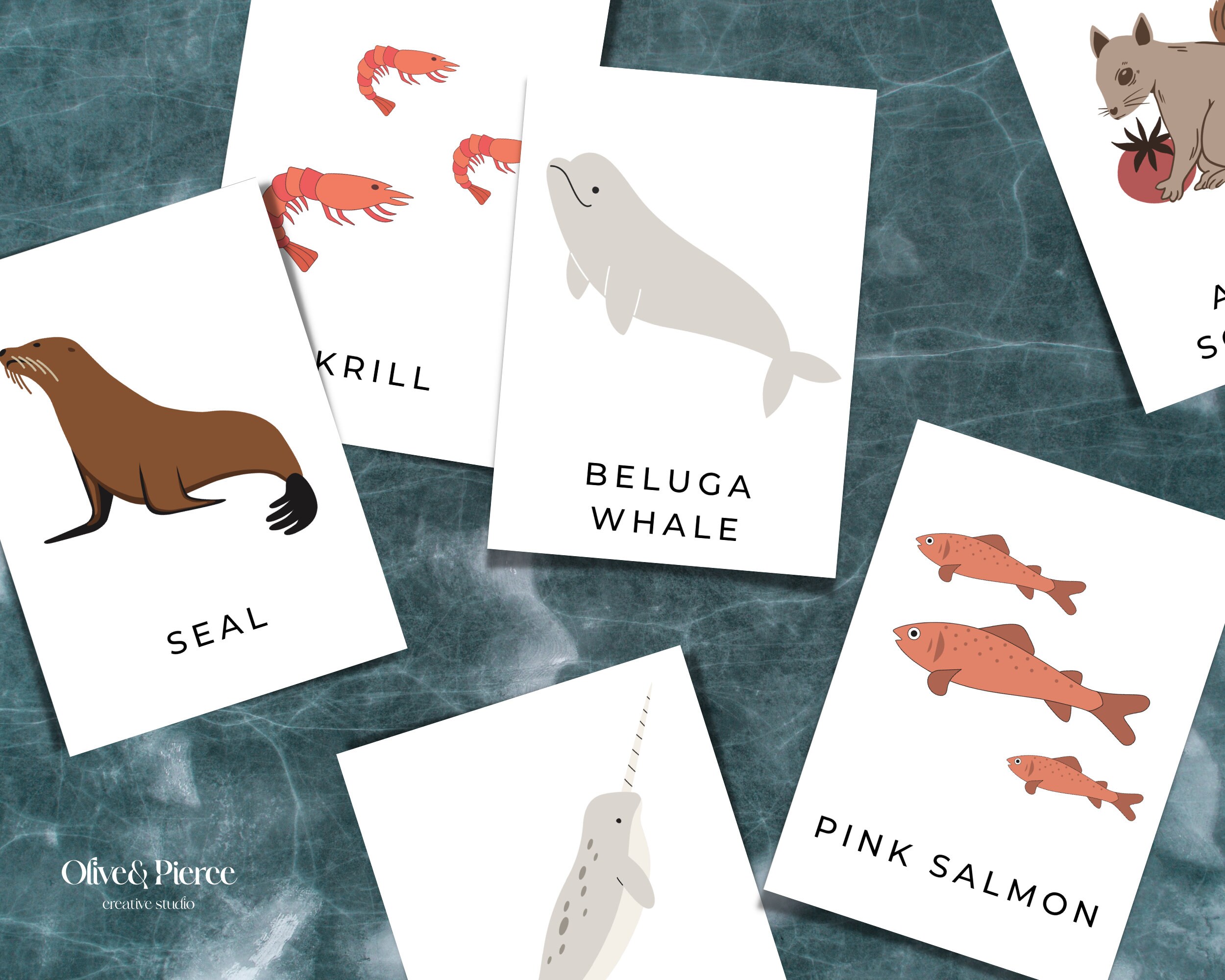 Printable Polar Arctic Animal Flashcards Nature Unit Study Montessori ...