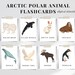 Printable Polar Arctic Animal Flashcards Nature Unit Study Montessori ...