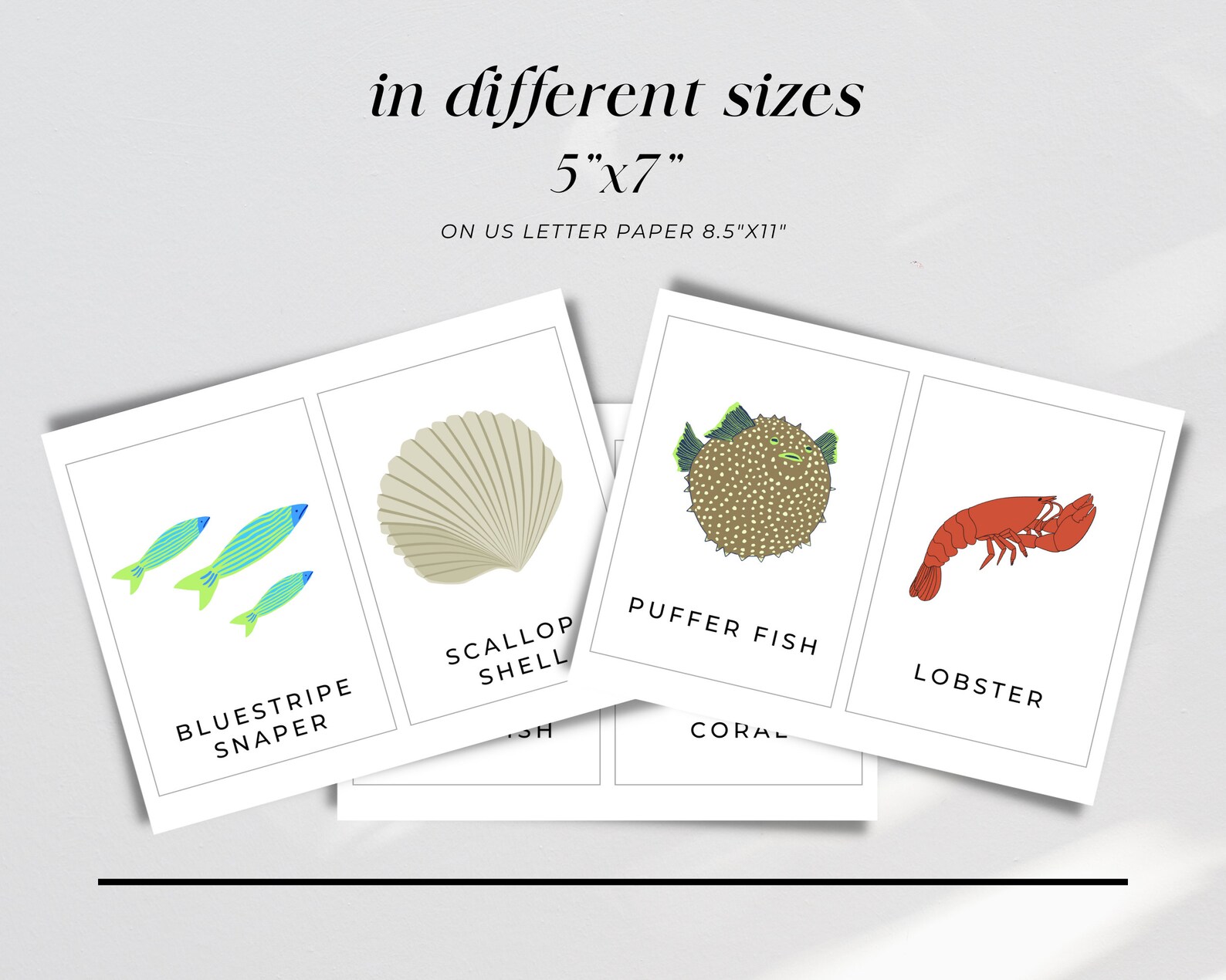 18 Under the Sea Flashcards Ocean Printable Back to School - Etsy