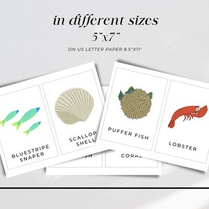 18 Under the Sea Flashcards Ocean Printable Back to School - Etsy