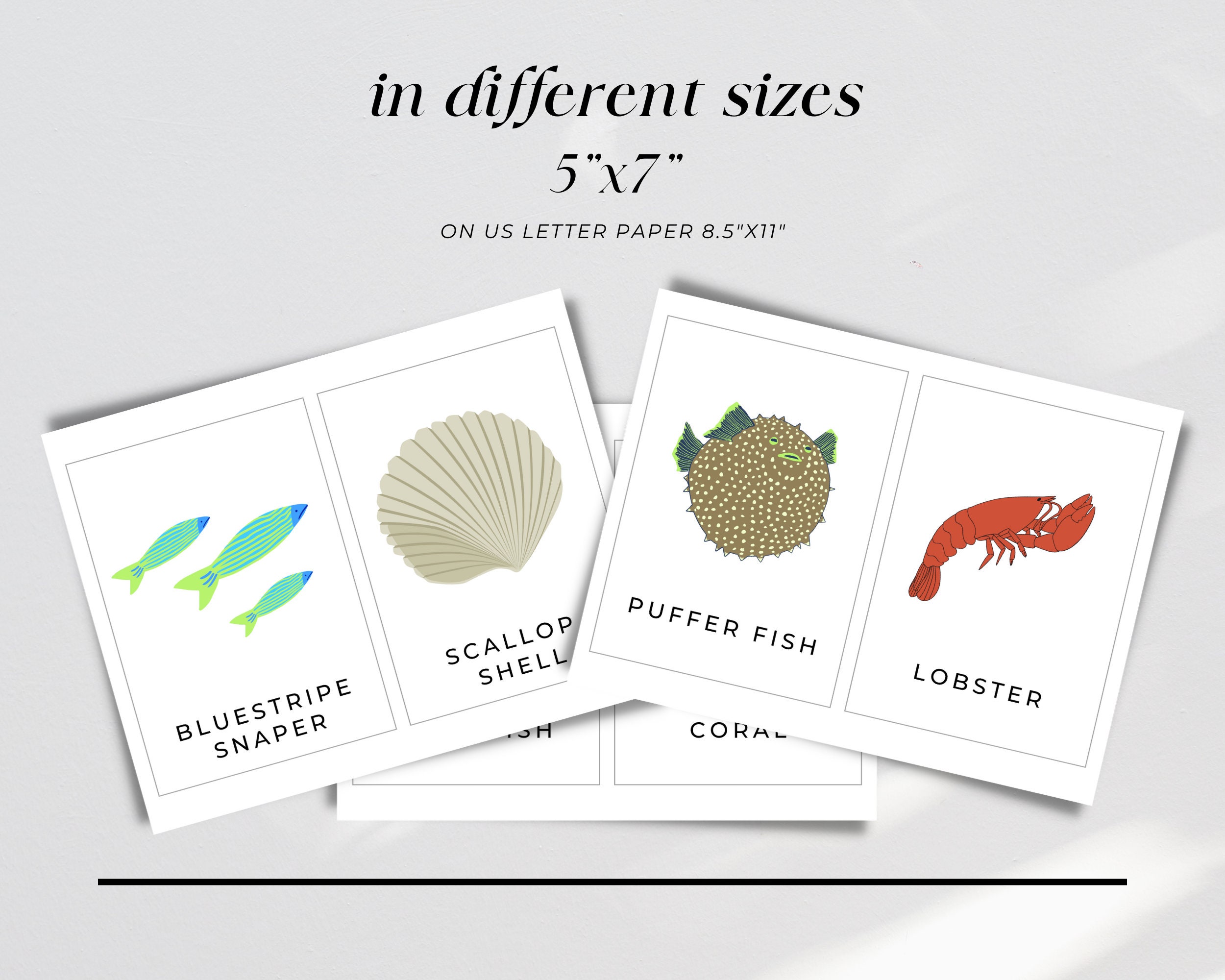 18 Under the Sea Flashcards Ocean Printable Back to School - Etsy