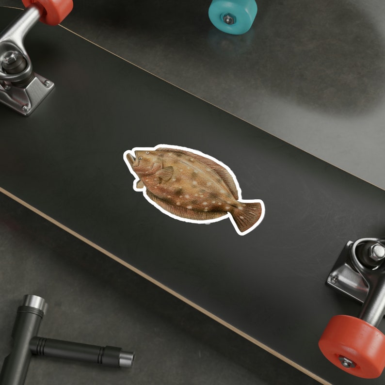 Flounder Sketch Decal - Etsy