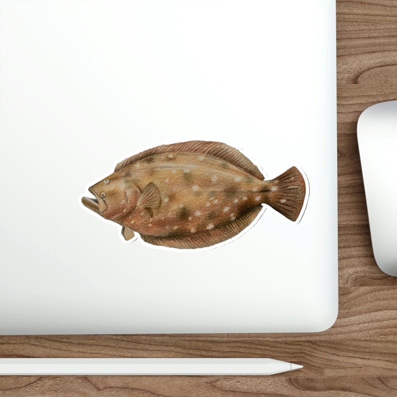 Flounder Sketch Decal - Etsy