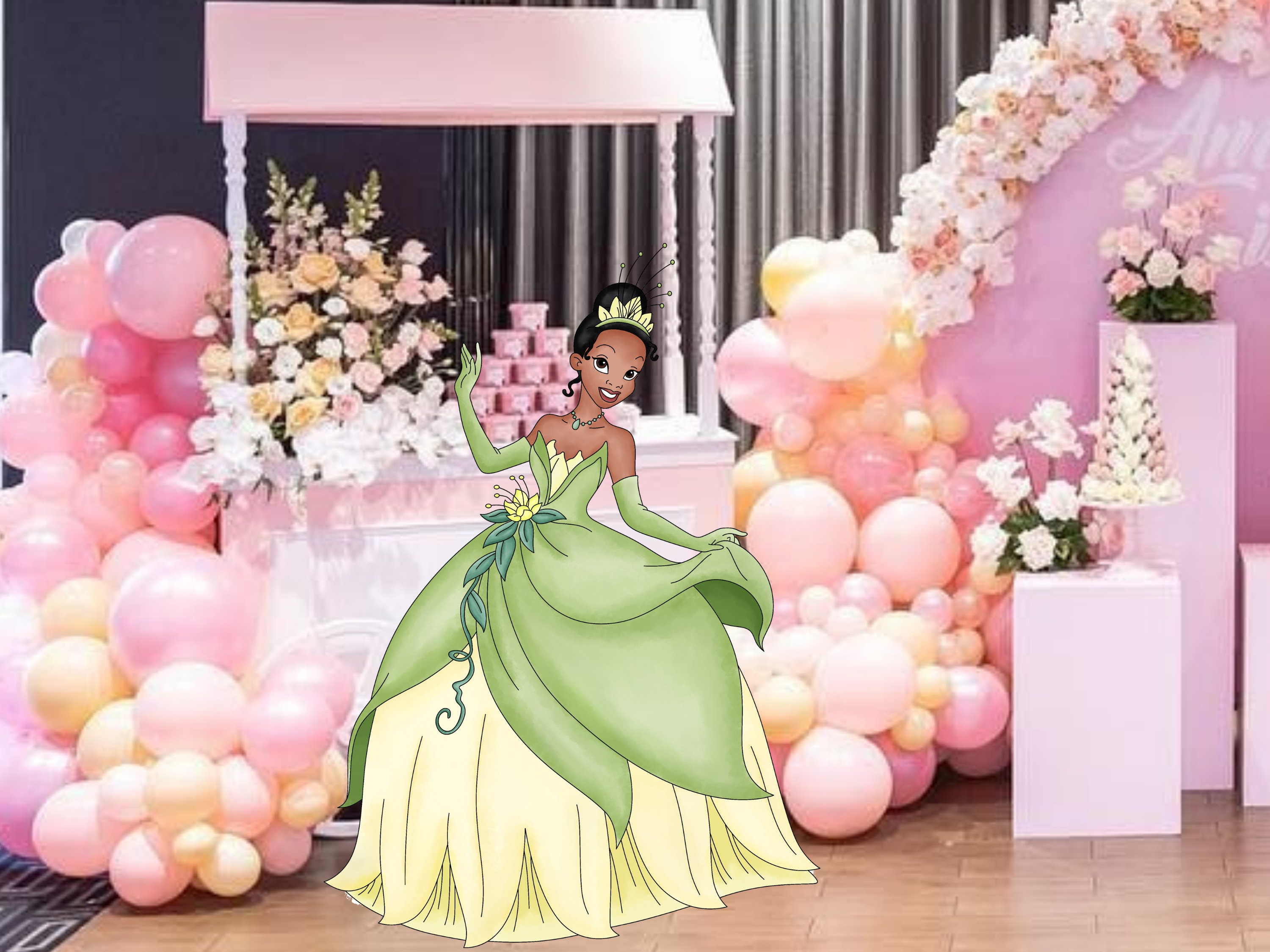 Princess Tiana Theme Party Supplies Princess And The Frog Party