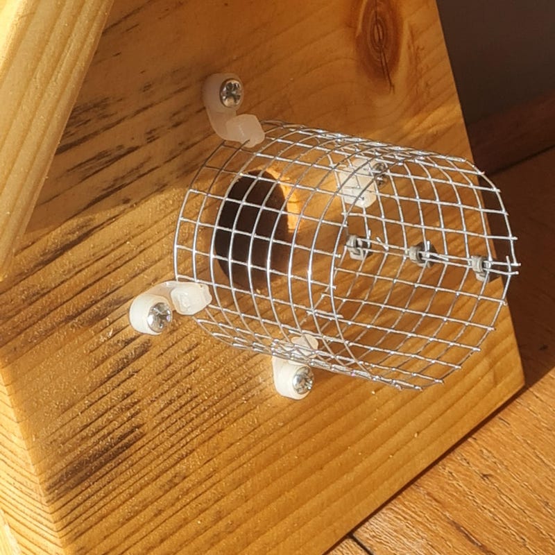 Bird Boxes With Camera - Etsy UK