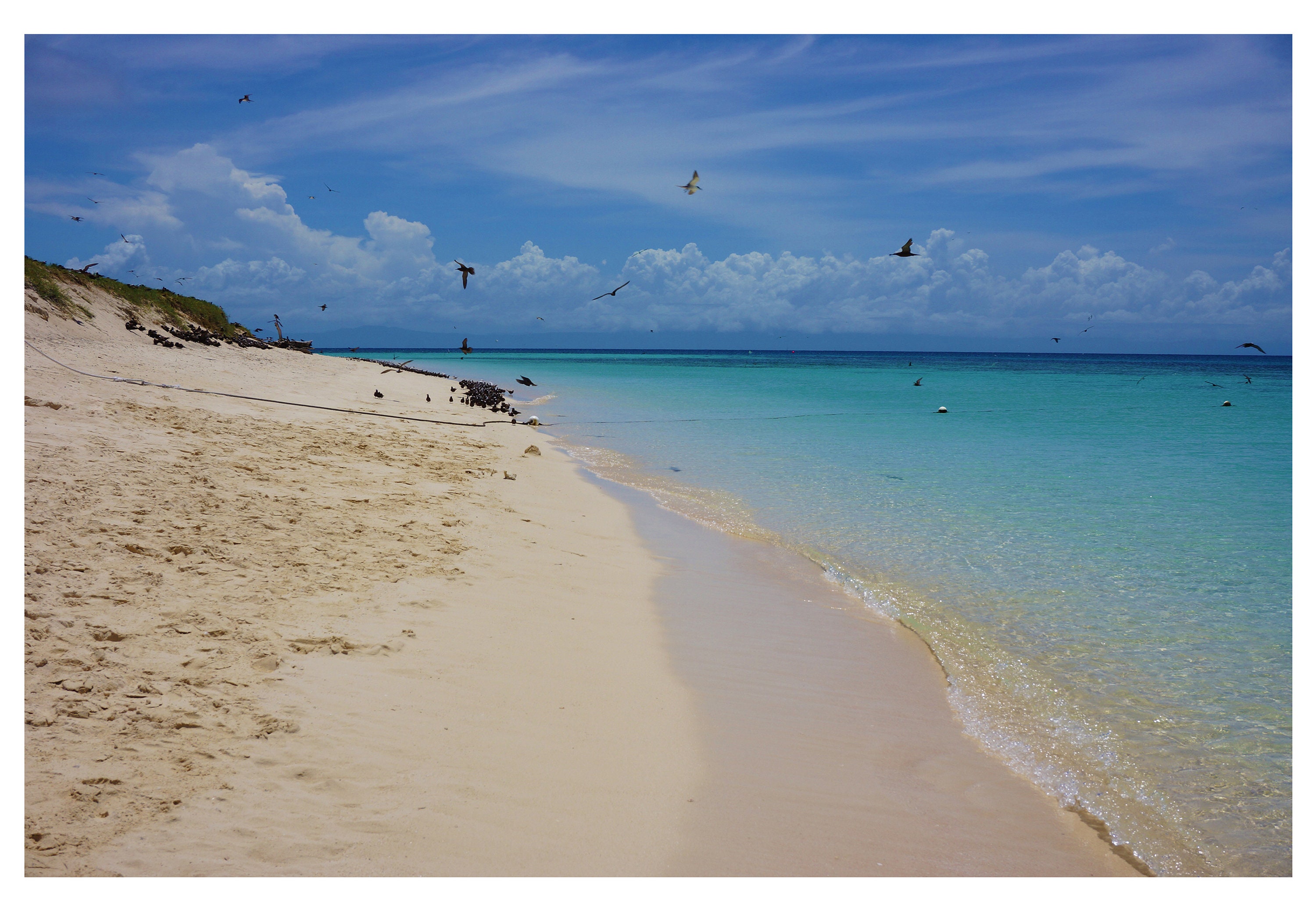 Michaelmas Cay Beach Australia | Photo Print Wall Art | Digital ...