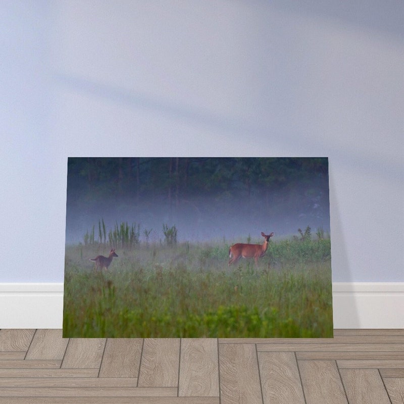 Whitetail Deer Poster - Etsy