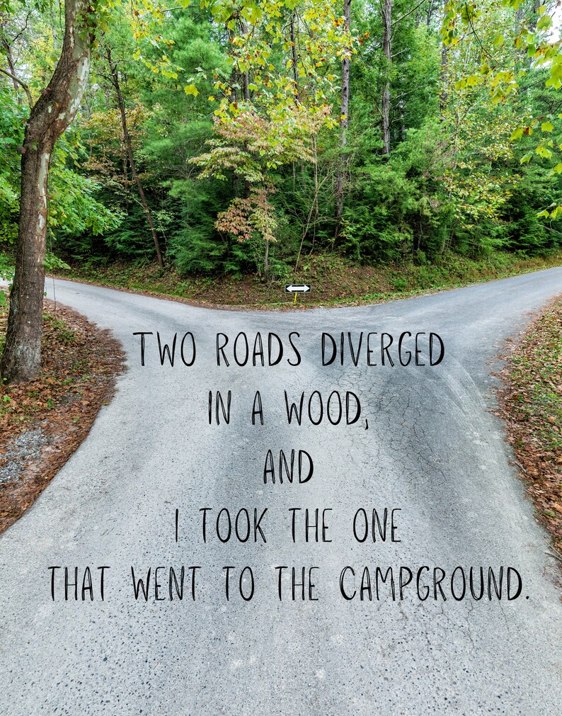 Two Roads Diverged in the Woods and I Took the One That Led to the ...