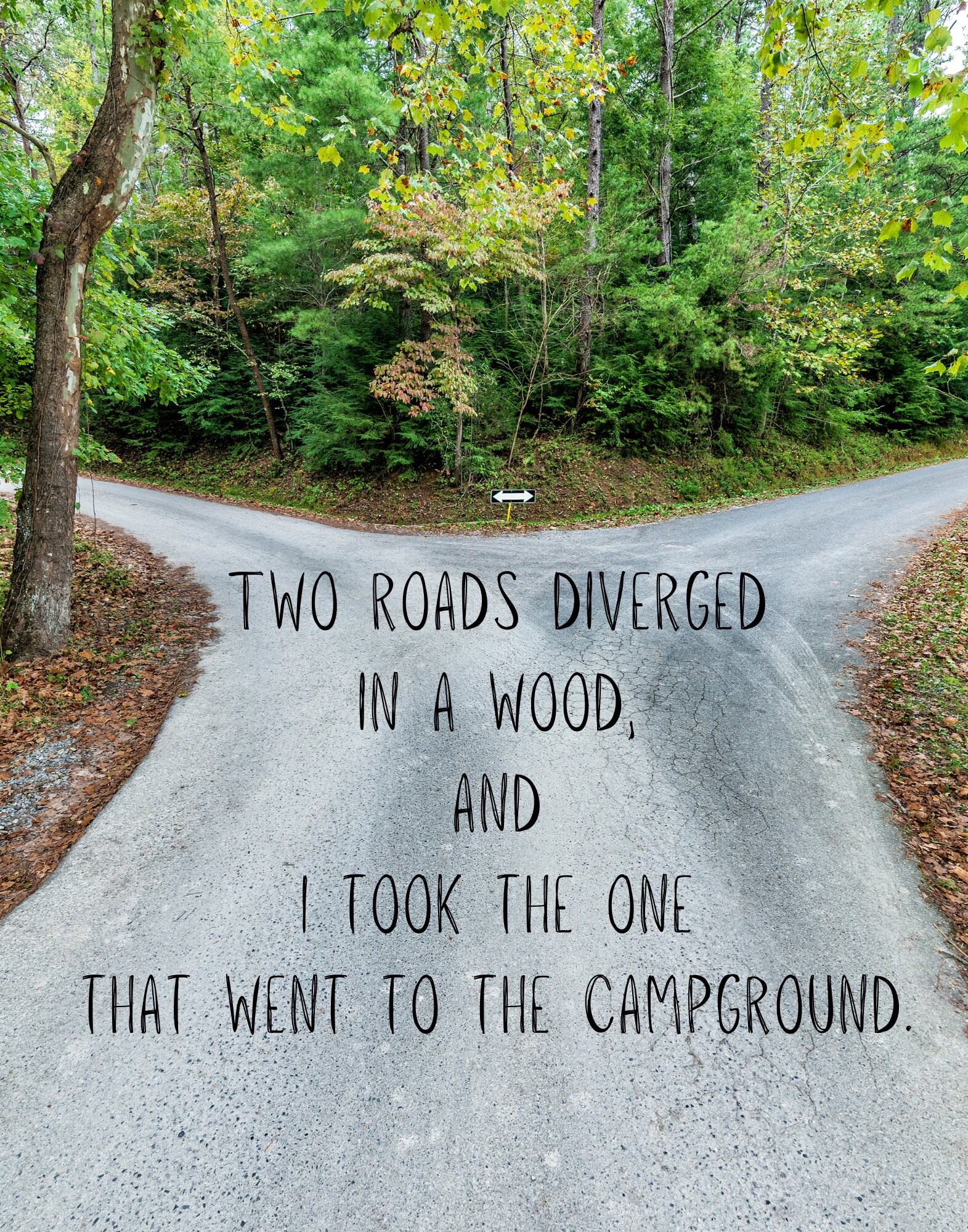 Two Roads Diverged in the Woods and I Took the One That Led to the ...
