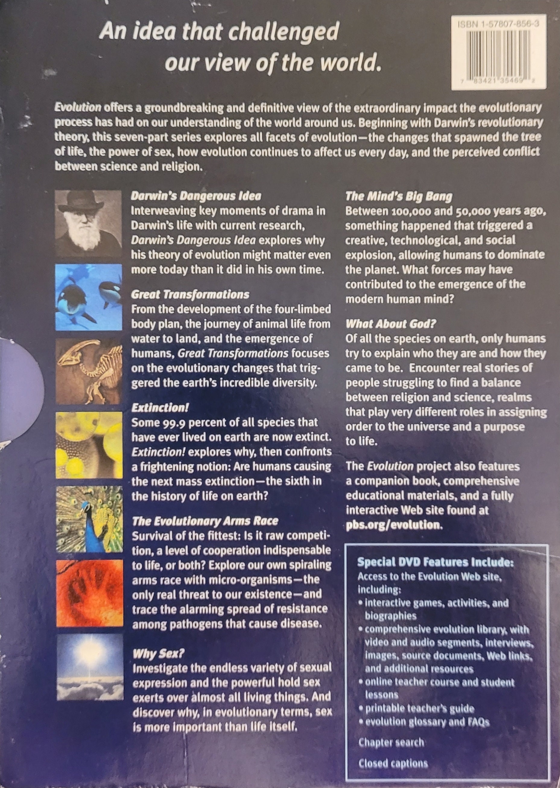 Evolution Boxed Set DVD, 2001, 4-disc Set - Etsy