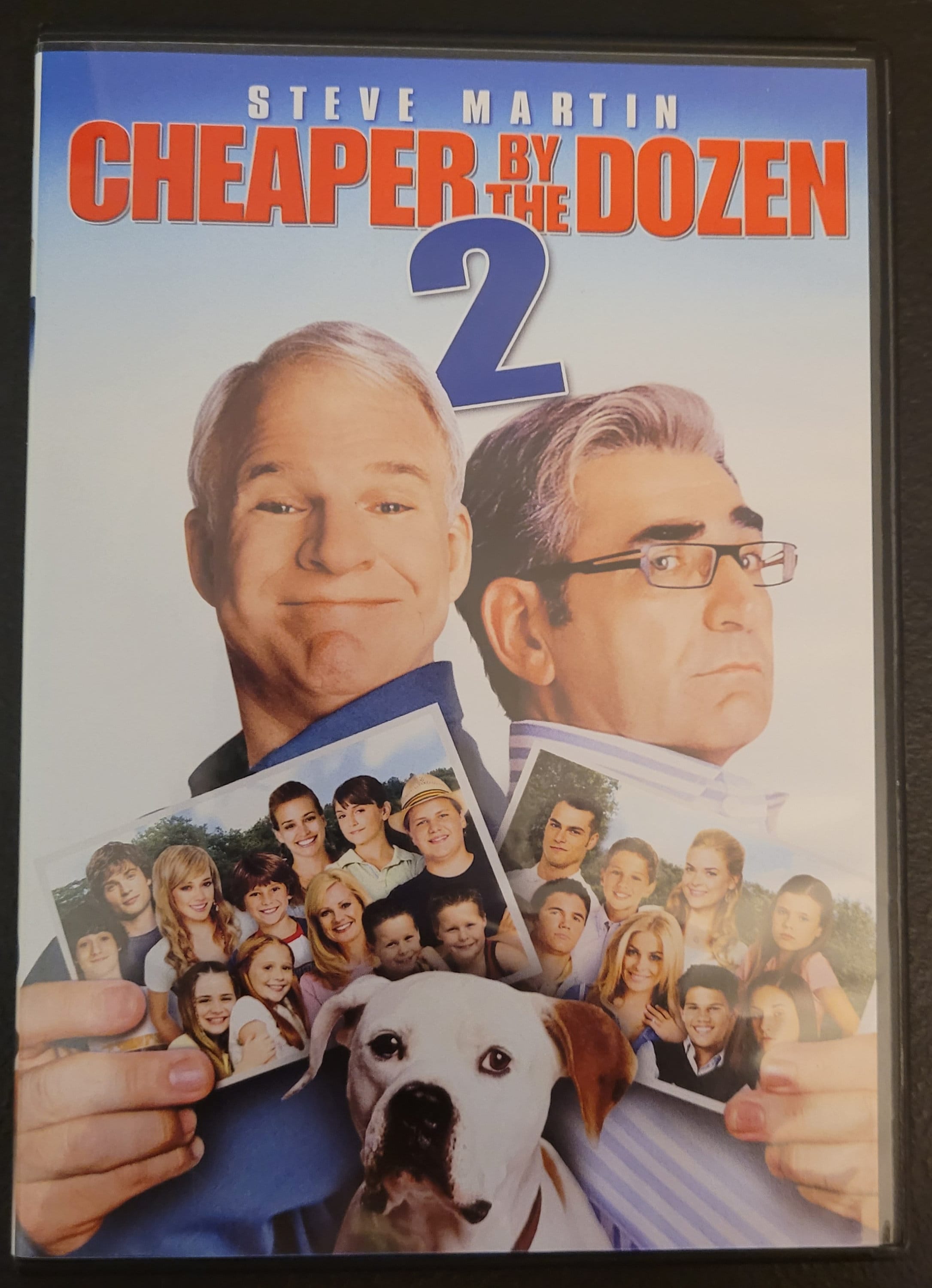 Steve Martin Cheaper By The Dozen 2
