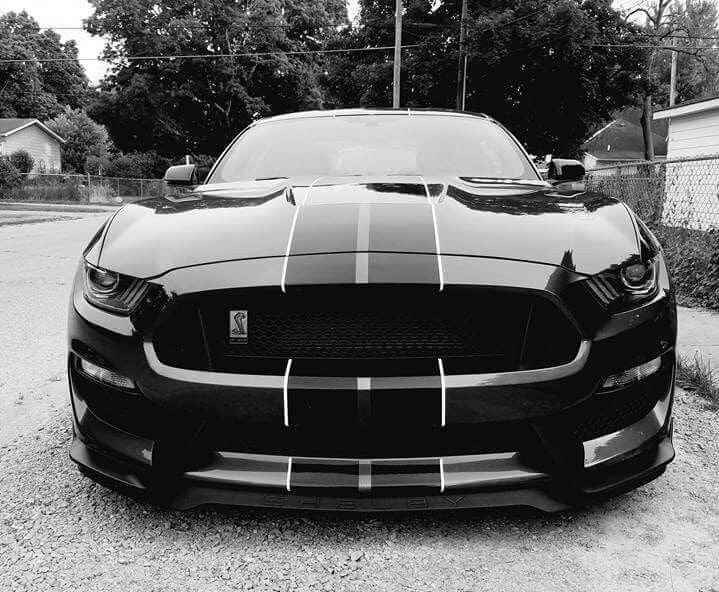 Ford Mustang Shelby Racing Stripes: Vinyl Decal Sticker - Etsy
