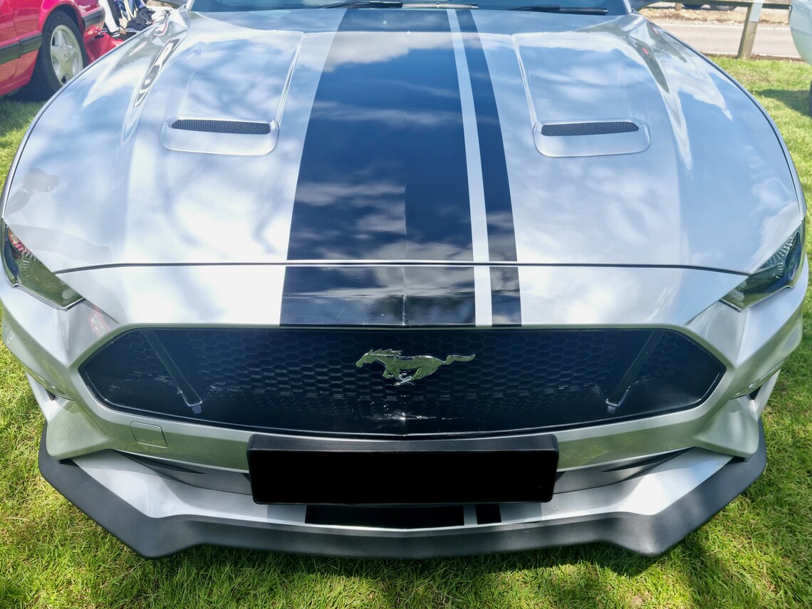 Ford Mustang Shelby Racing Stripes Decal Vinyl Sticker Viper Stripes ...
