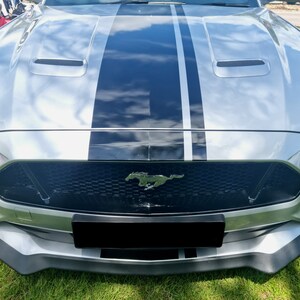 Ford Mustang Shelby Racing Stripes Decal Vinyl Sticker Viper Stripes ...