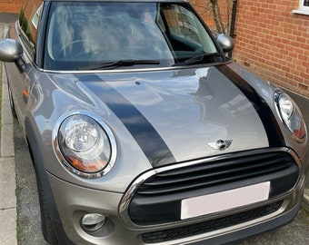 Mini Bonnet Pinstripes Designed to Fit ALL Models of Mini Ones, Cooper ...