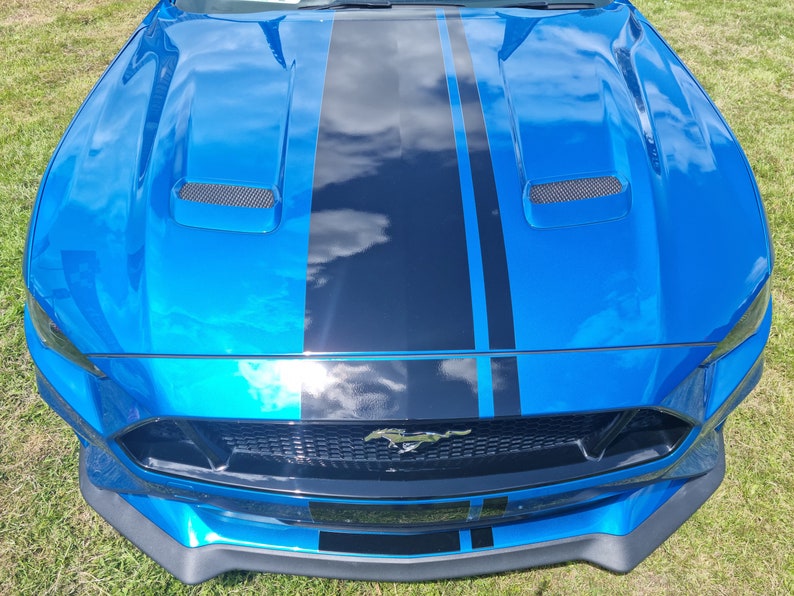 Ford Mustang Shelby Racing Stripes Decal Vinyl Sticker Viper Stripes ...