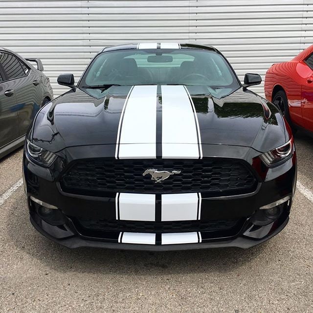 Ford Mustang Shelby Racing Stripes: Waterproof Vinyl Decal - Etsy