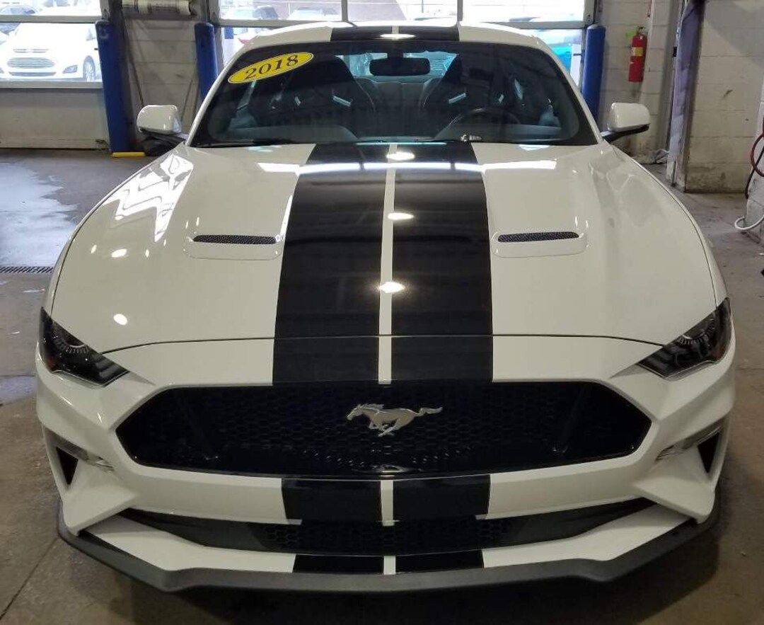 Ford Mustang-shelby Racing Stripes Decal Vinyl Sticker Viper Stripes ...