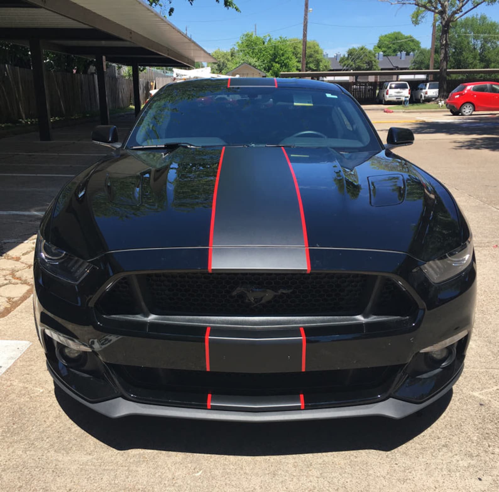 Ford Mustang Shelby Racing Stripes: Vinyl Decal Sticker - Etsy