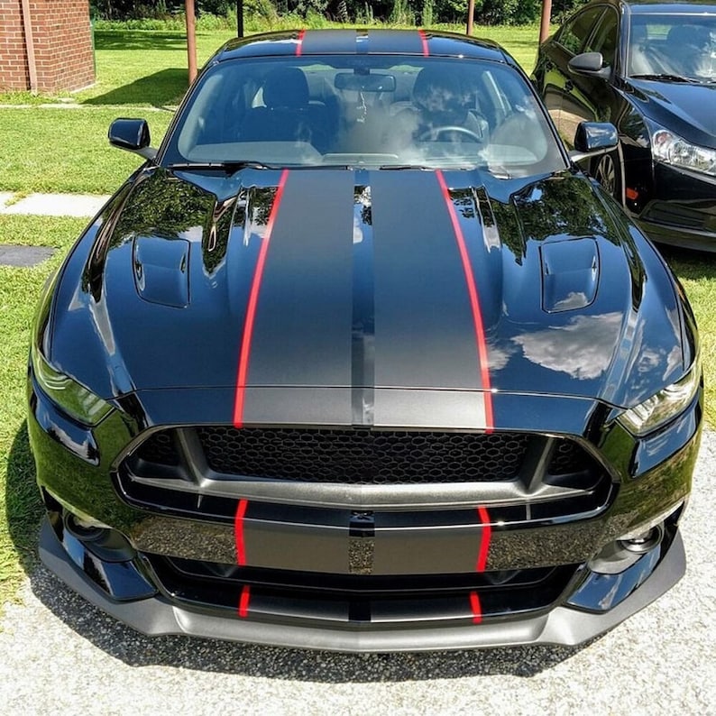 Ford Mustang Shelby Racing Stripes: Vinyl Decal Sticker - Etsy