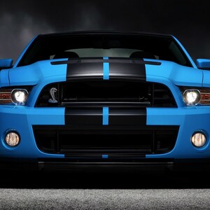 Ford Mustang-shelby Racing Stripes Decal Vinyl Sticker Viper Stripes ...