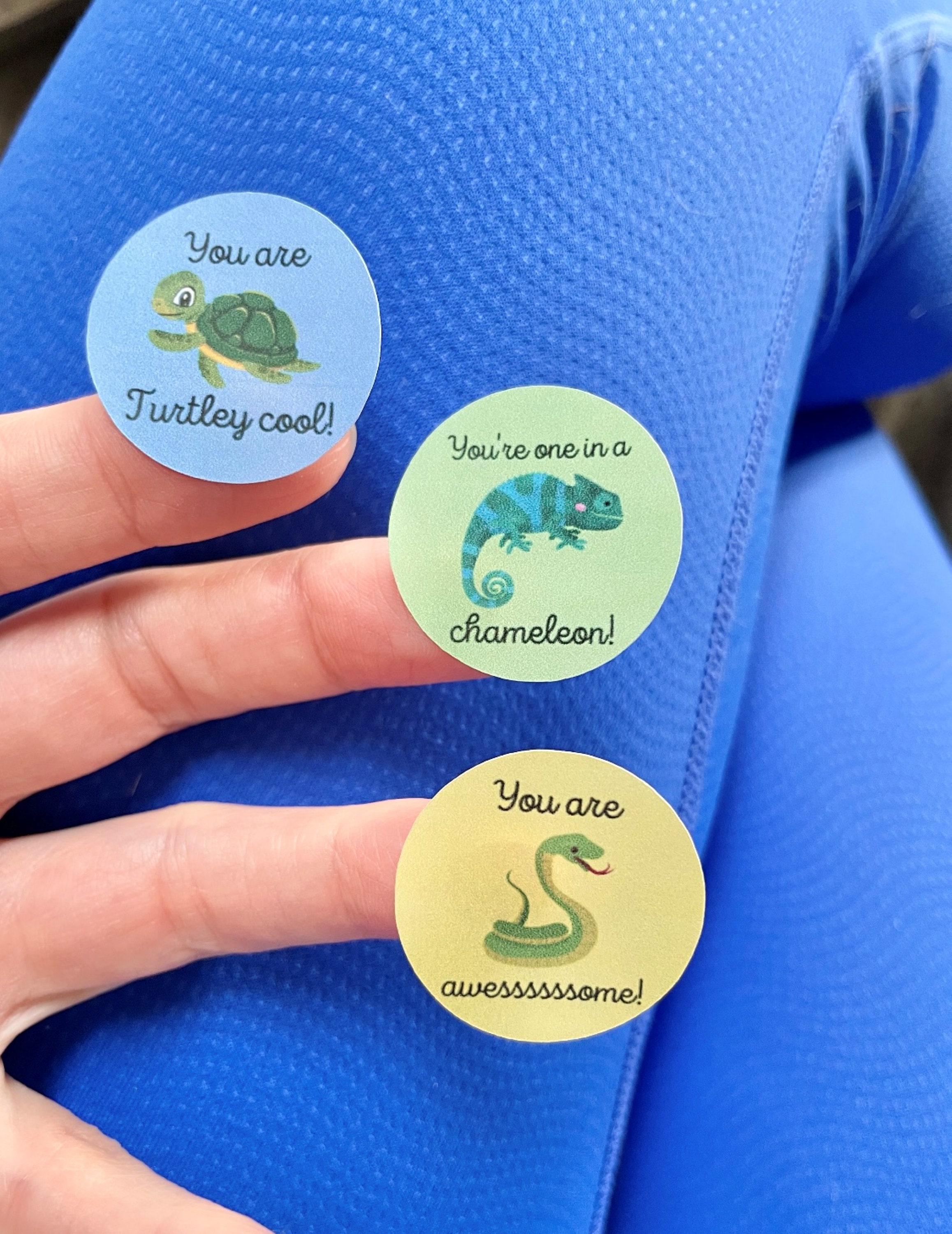 Turtley Cool Sticker Sheet for Teachers or Parents - Etsy