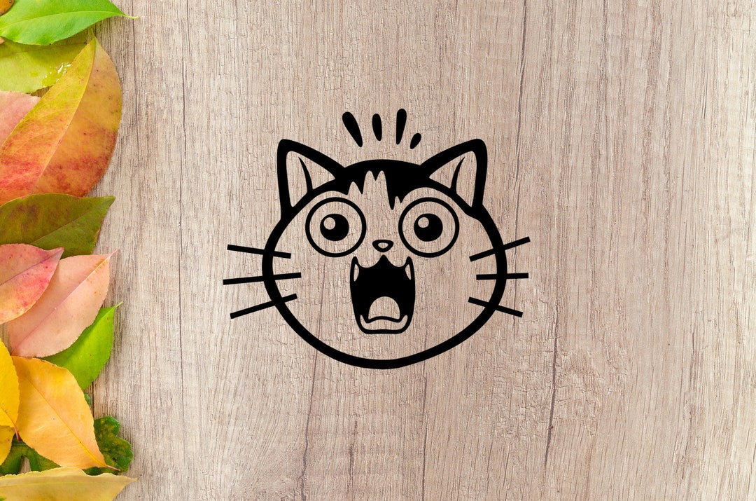 Surprised Cat SVG Cat Meme SVG Funny SVG - Etsy