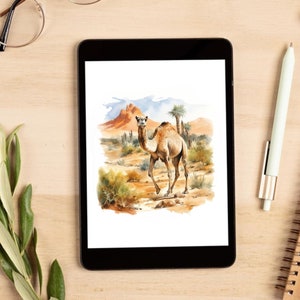 Watercolor Camel Clipart 20 PNG Clipart High Quality Digital - Etsy