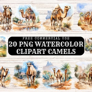 Watercolor Camel Clipart 20 PNG Clipart High Quality Digital - Etsy