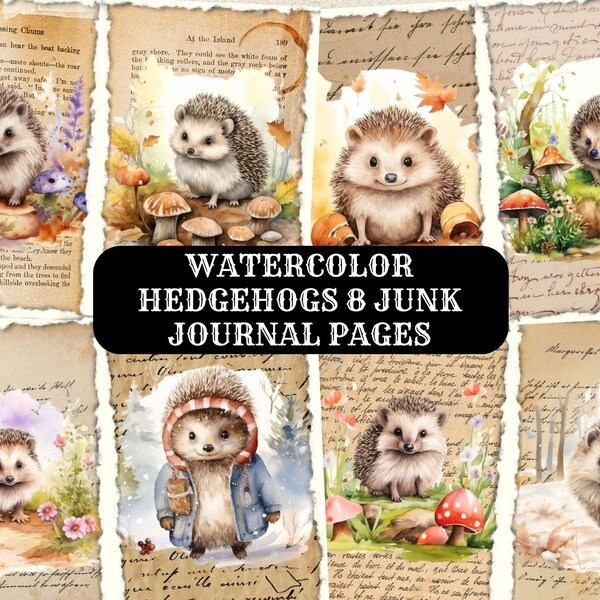 Hedgehog Journal - Etsy
