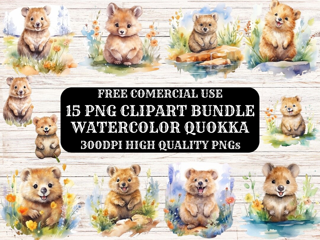 Watercolor Quokka, Clipart Bundle, 15 Pngs High Quality, Clipart Pack ...